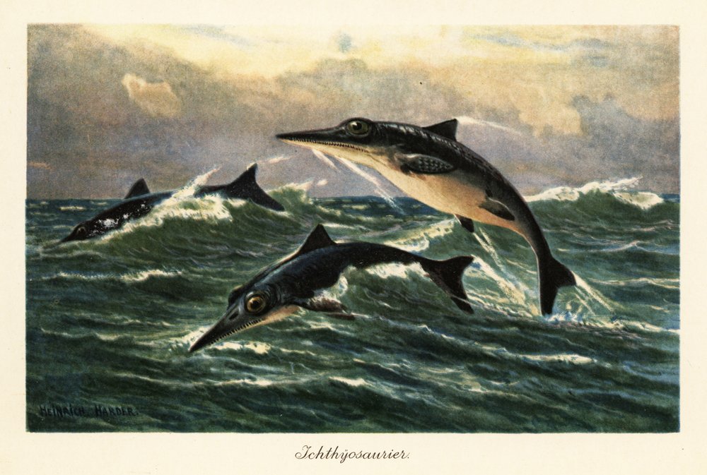Extinct ichthyosaurs jumping above the ocean