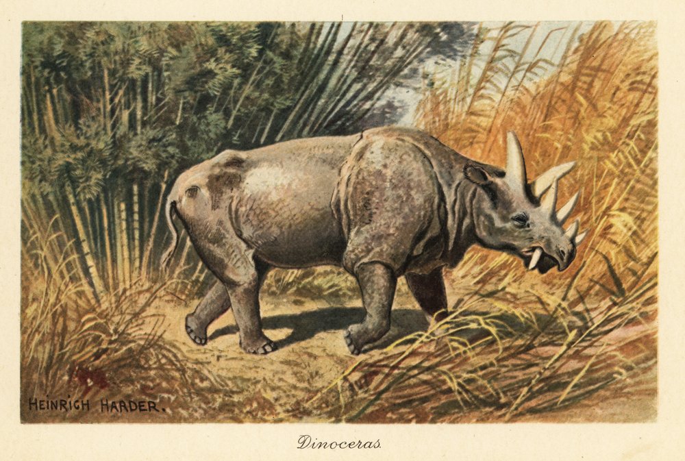 Uintatherium anceps in a jungle clearing by Heinrich Harder