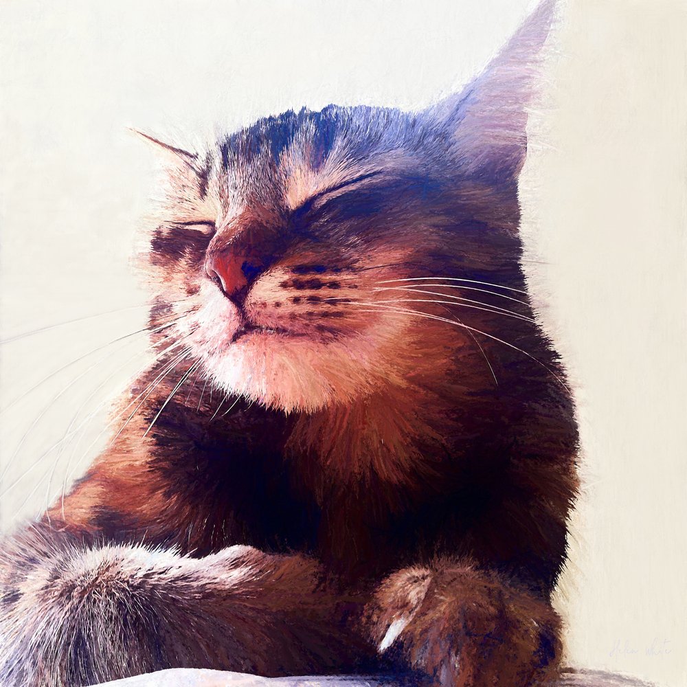 Cat That Got The Cream by Helen White: Buy fine art print