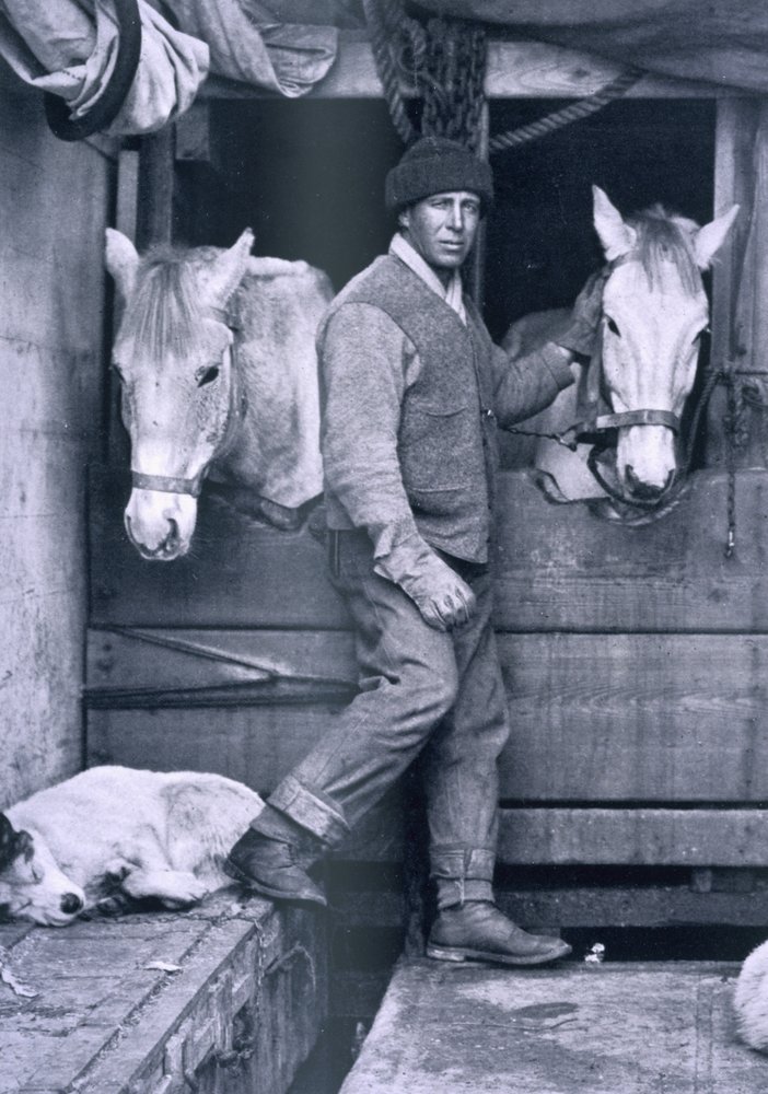 Capt. Oates and Two of the Ponies on the Terra Nova, from 'Scott's Last ...