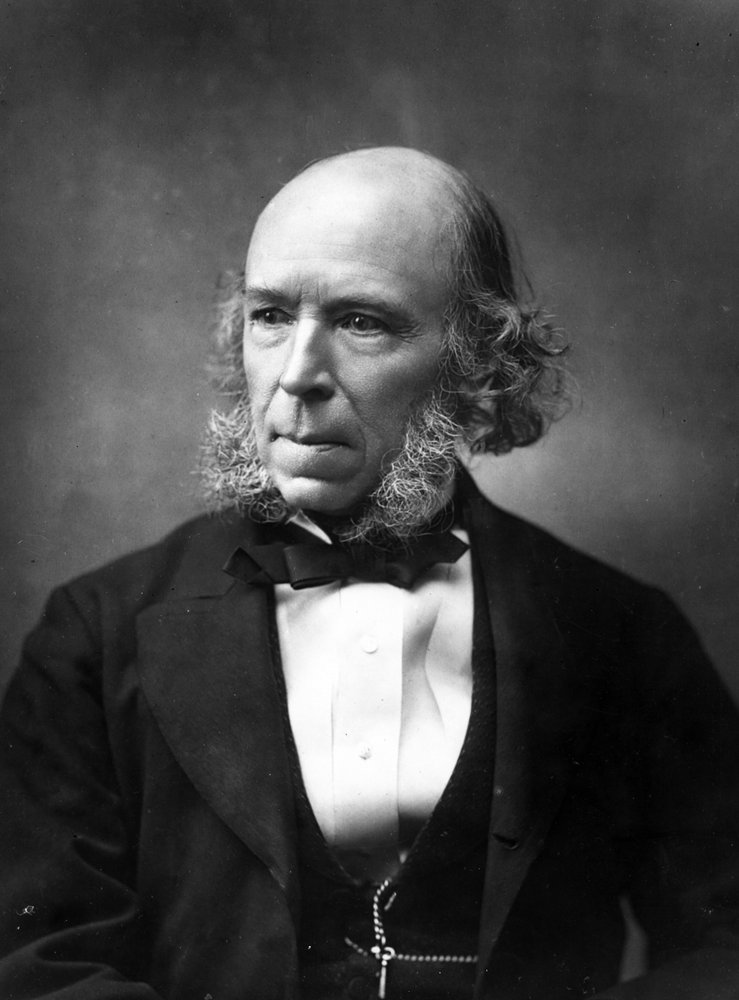Herbert Spencer by Herbert Rose Barraud: Fine art print