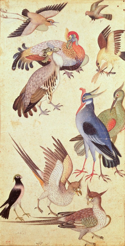 Ten Birds by Indian School: Highest-quality art reproduction