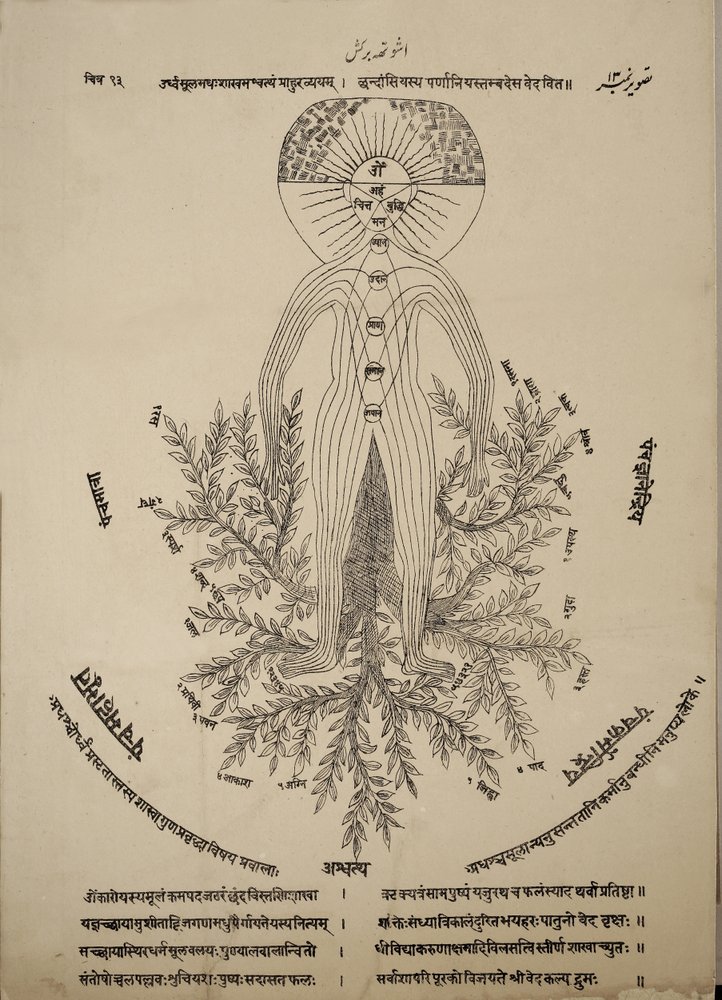 Diagram showing meridian points on the human body