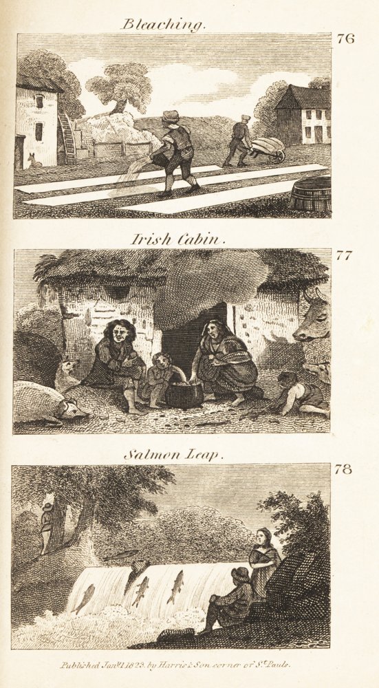 Trades in Regency Ireland: Bleaching, Irish Cabin, and Salmon Leap