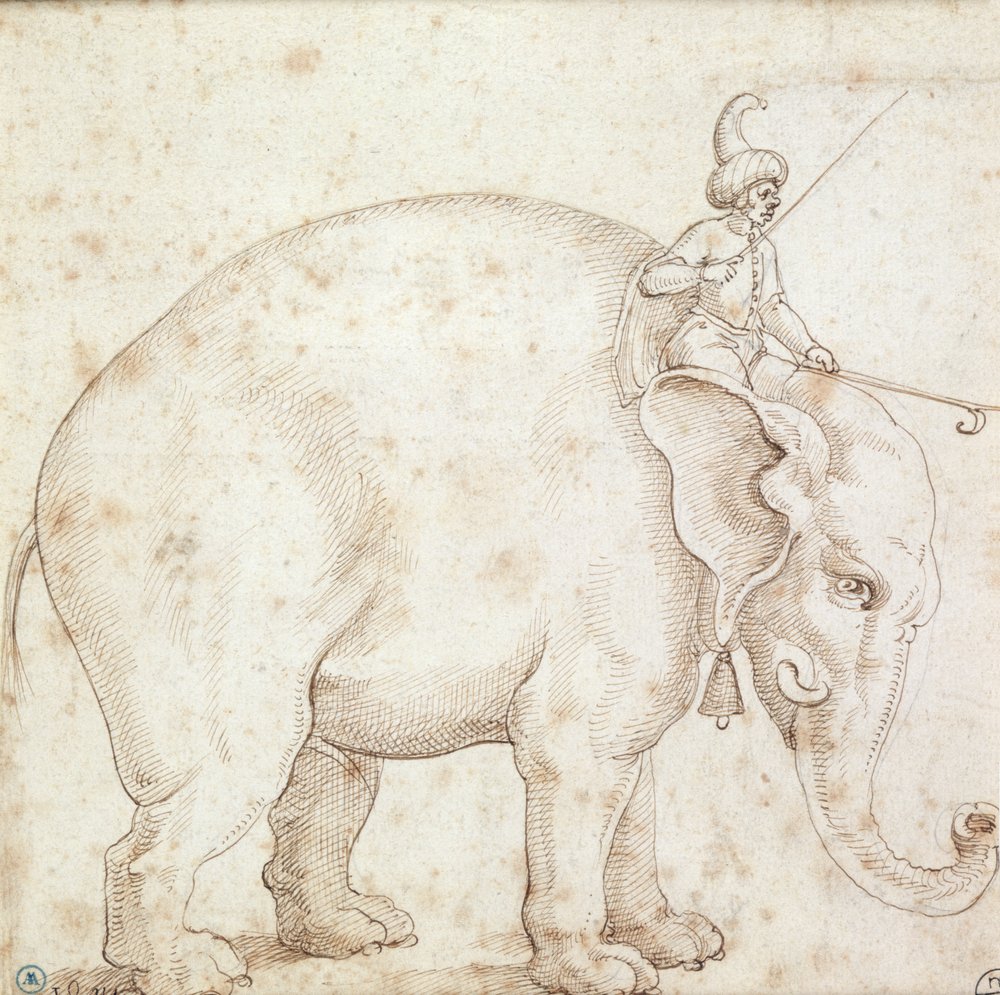 Elephant Hanno and His Mahout by Italian School