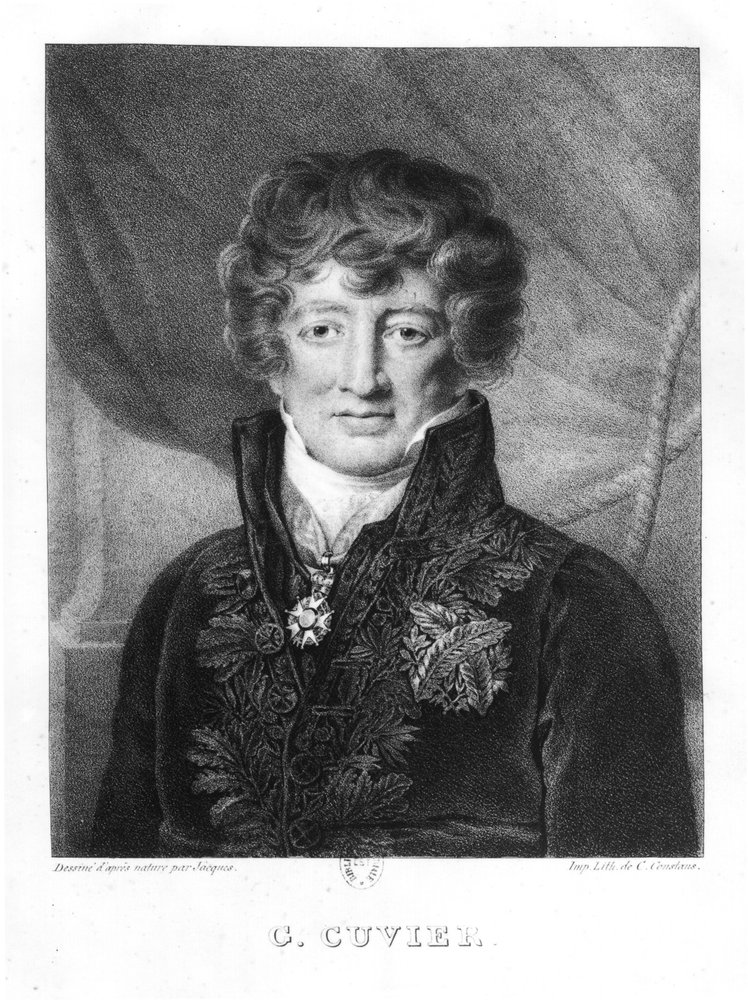 Portrait of Georges Cuvier by Jacques: Buy fine art prints