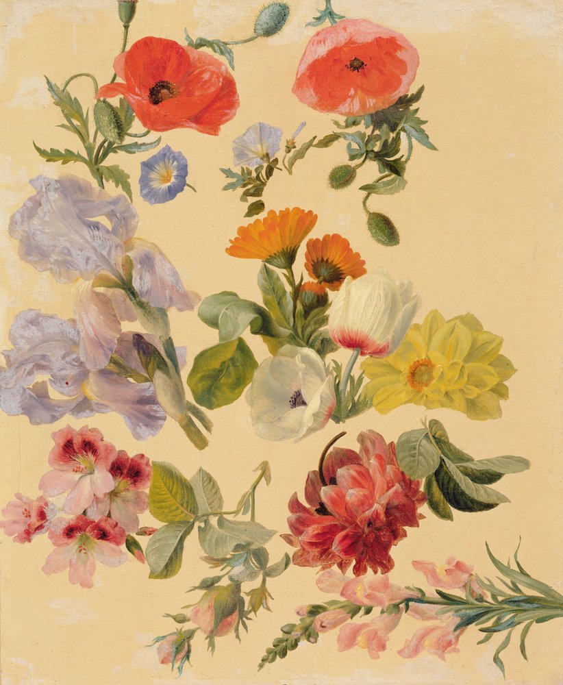 Studies of Summer Flowers by Jacques Laurent Agasse