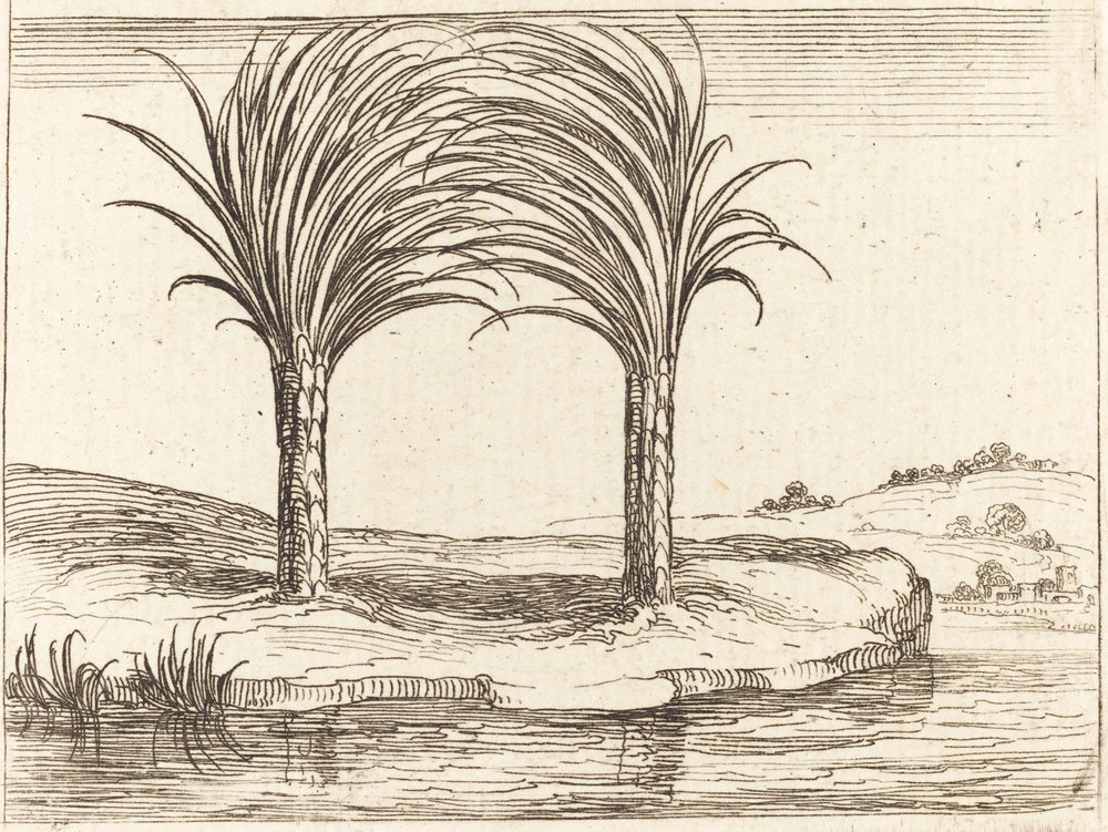 Two Palm Trees by Jacques Callot: Buy fine art print