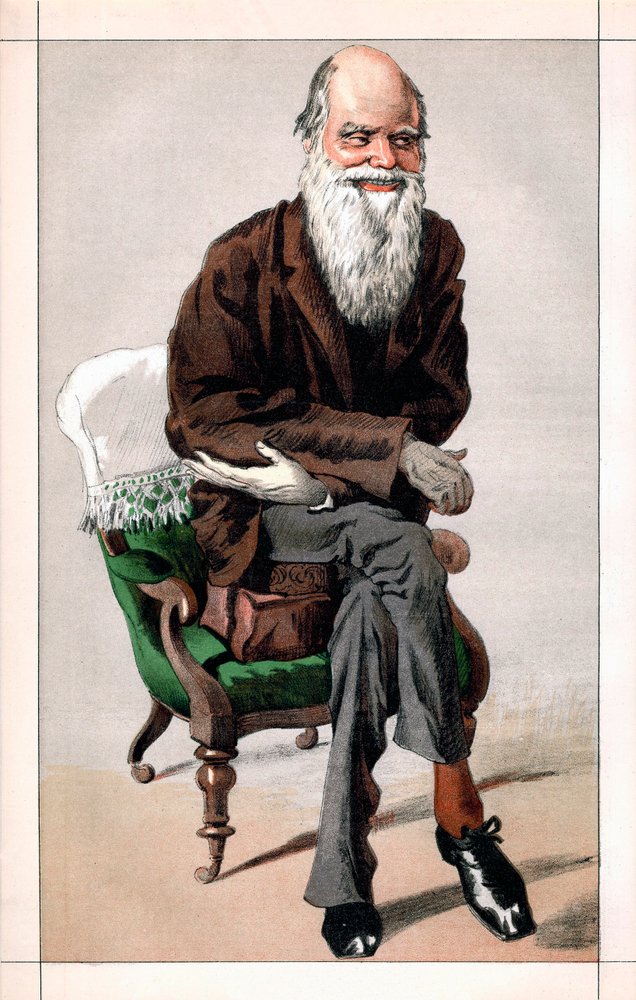 Portrait of Charles Darwin by James Jacques Joseph Tissot