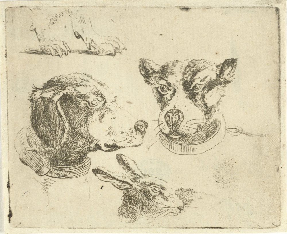 Study Sheet with Two Dog Heads, Dog Paws, and Hare Head