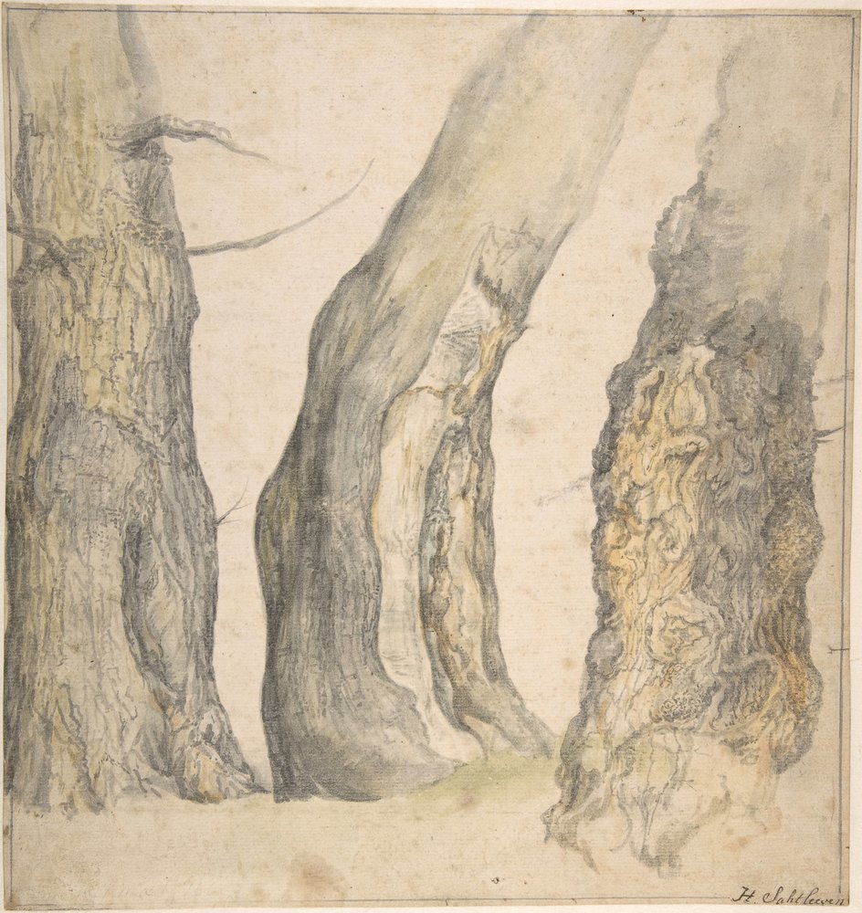 Study of Three Old Gnarled Trees by Jan Siberechts