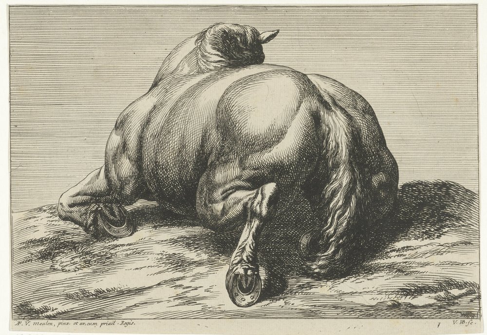 Fallen Horse Seen from Behind (Fallen Horses)