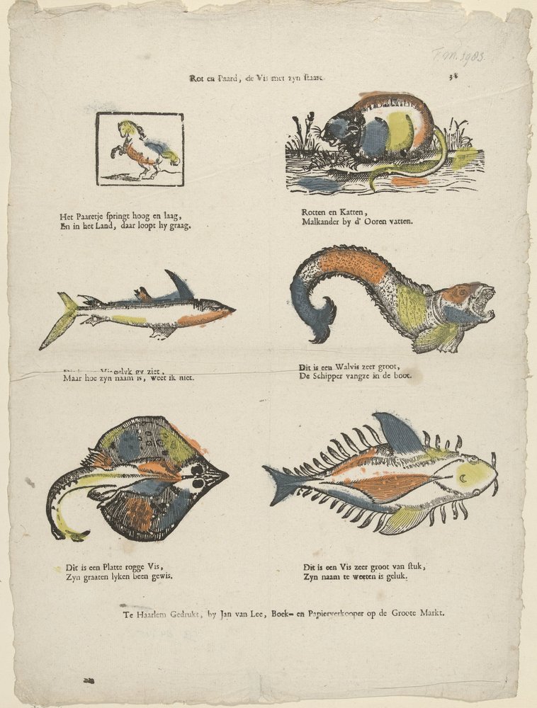 Rot and Horse, the Fish with Its Tail by Jan van Lee