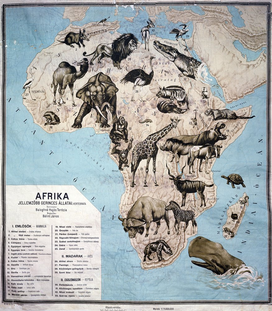 Map of Animals in Africa by Janos Balint: Fine art print