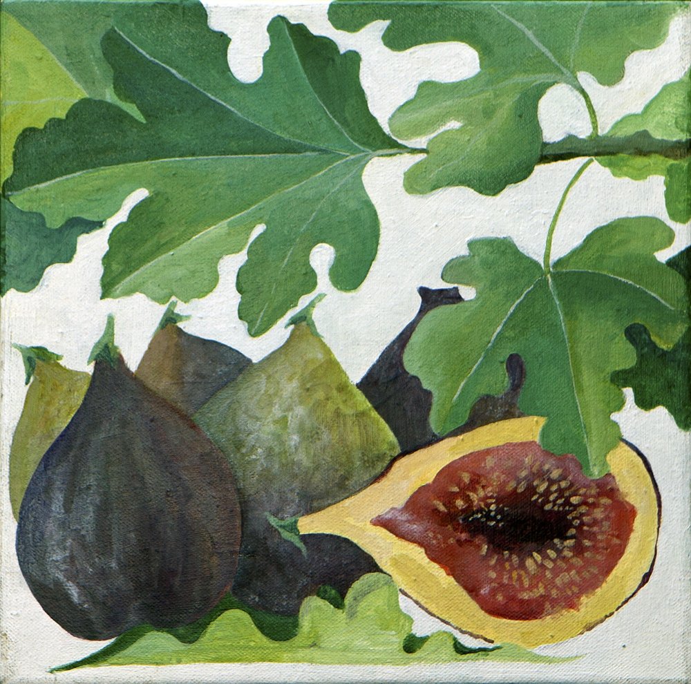 Figs, 2013 by Jennifer Abbott: Buy fine art print