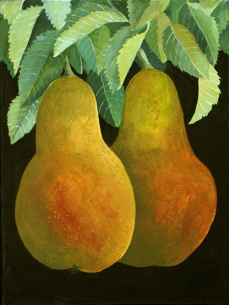 Pears by Jennifer Abbott: Highest-quality art reproduction