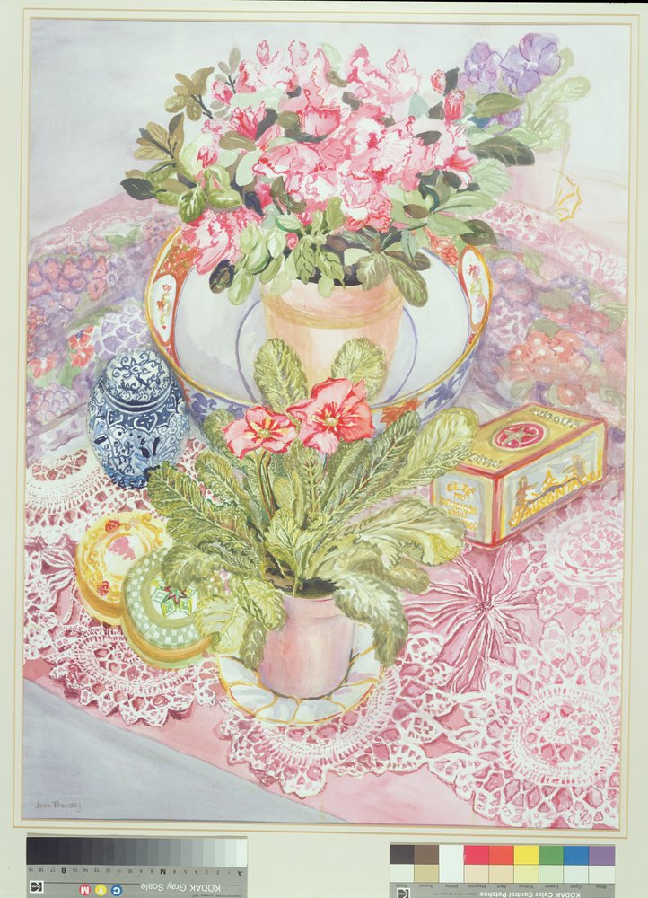 Primrose and Azalea by Joan Thewsey: Buy fine art print