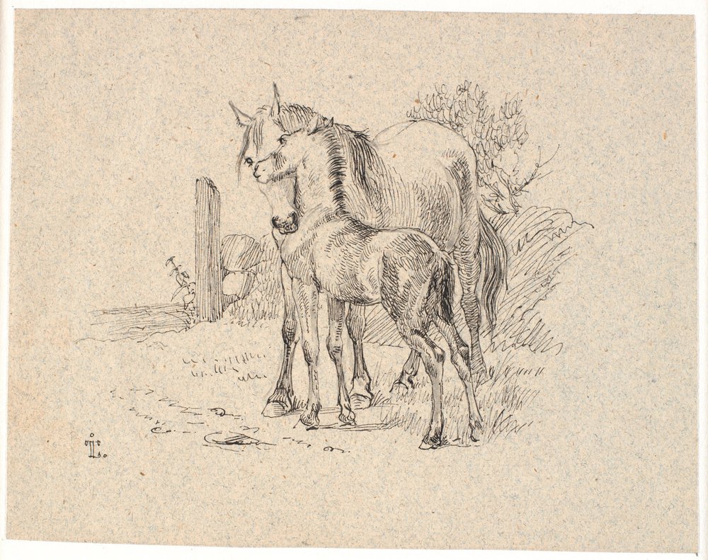 The Horse and the Foal by Johan Thomas Lundbye