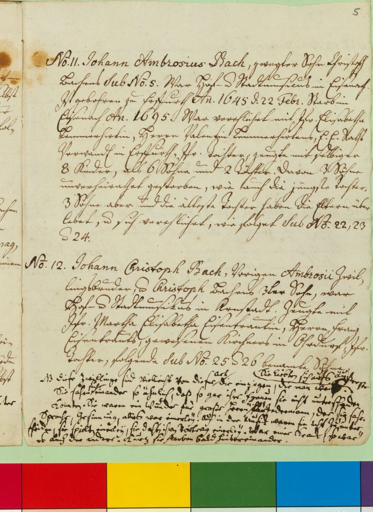 The Origin of the Musical Bach Family