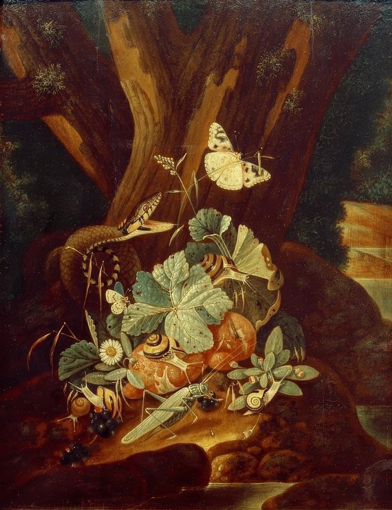Insects, Snails, and Snake by Johann Falch: Fine art print