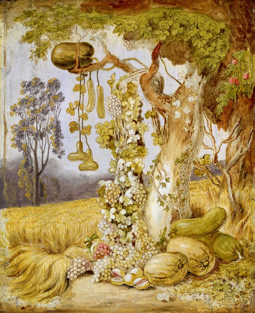 The Fertility of the Earth