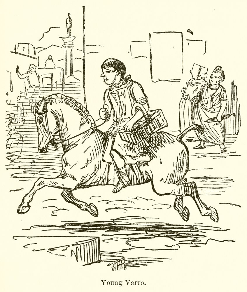 Young Varro by John Leech: Highest-quality art reproduction