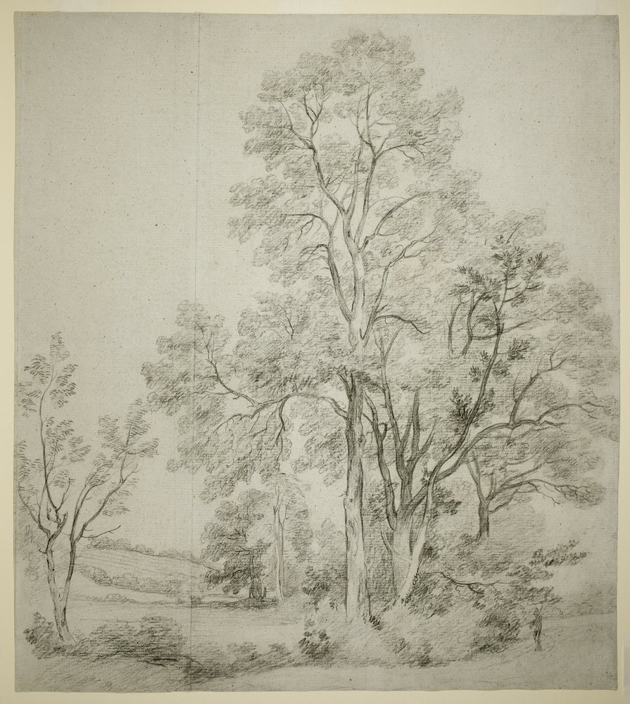 A Stand of Elm Trees (recto); A Study of East Bergholt with the Church ...