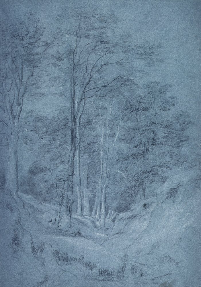 Study of ash and other trees by John Constable