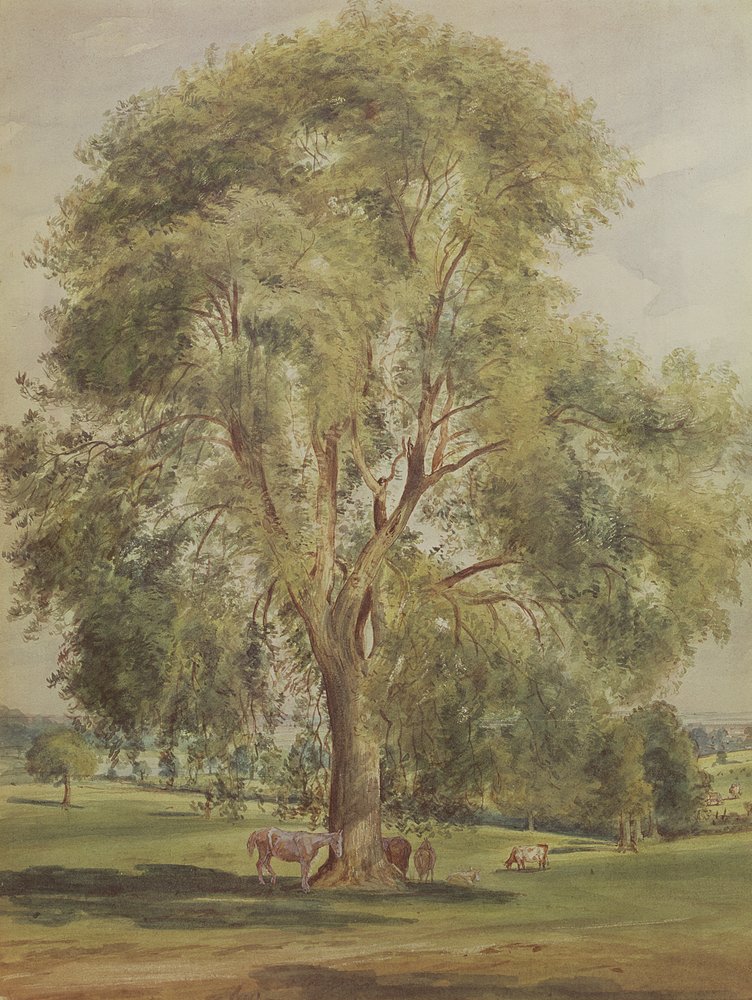 The Tree by John Constable: Highest-quality art reproduction