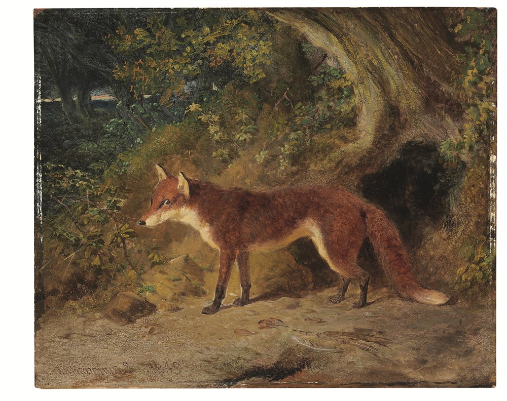 The Red Fox by John Frederick Senior Herring: Fine art print