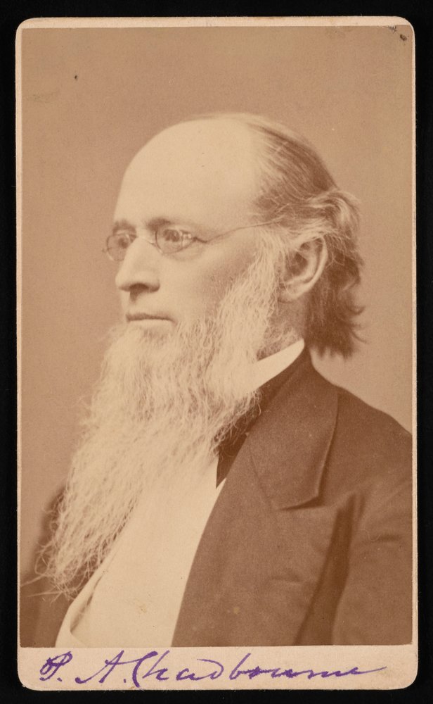 Portrait of Paul Ansel Chadbourne 1823-1883, Between 1872 and 1875