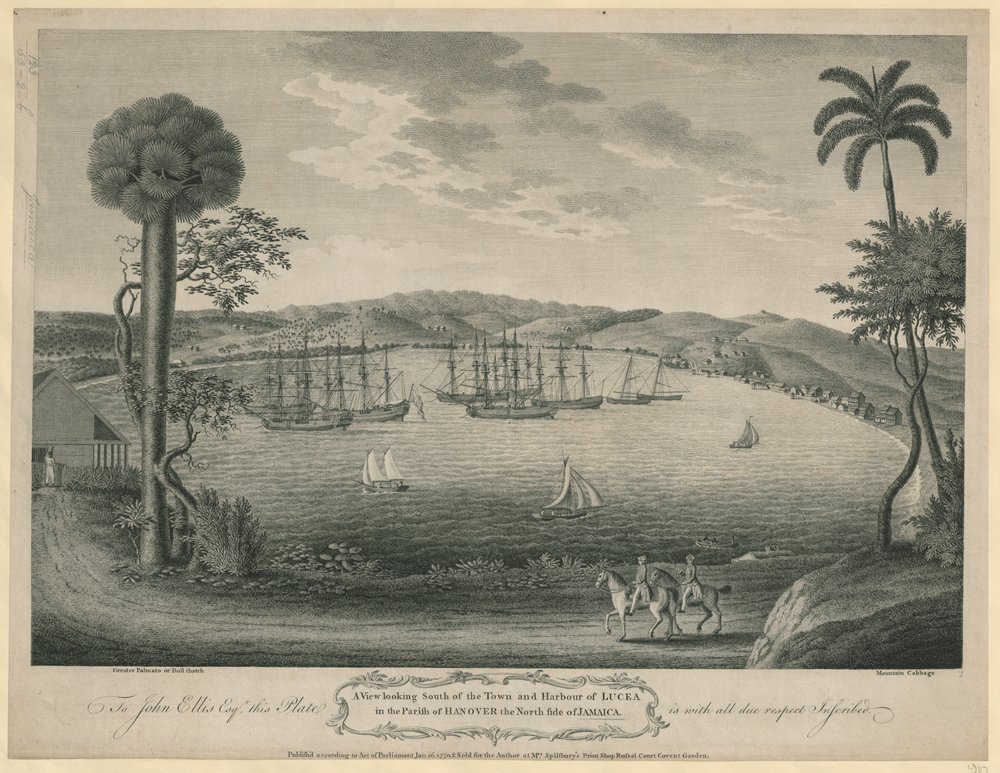 A View Looking South of the Town and Harbour of Lucea in the Parish of ...