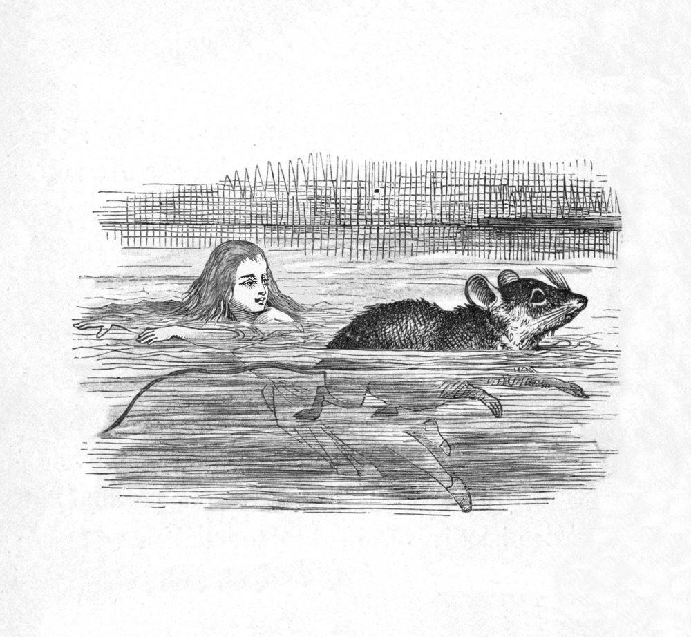 Alice Swimming with a Mouse in a Pool by John Tenniel