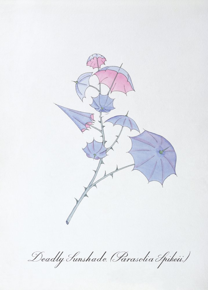 Deadly Sunshade, Illustration from 'The Bogus Book of Botany'