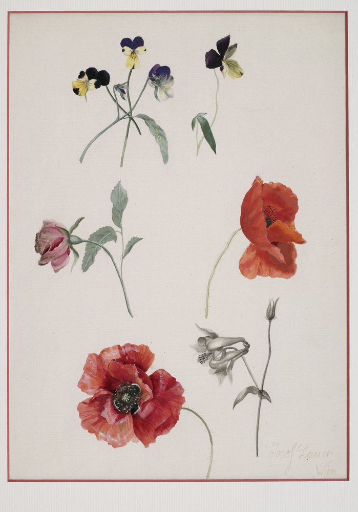 Flowers by Josef Lauer: Highest-quality art reproduction