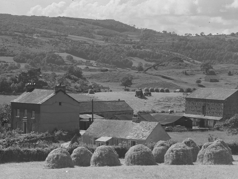 Haycocks in foreground with farm behind by Joseph Hardman