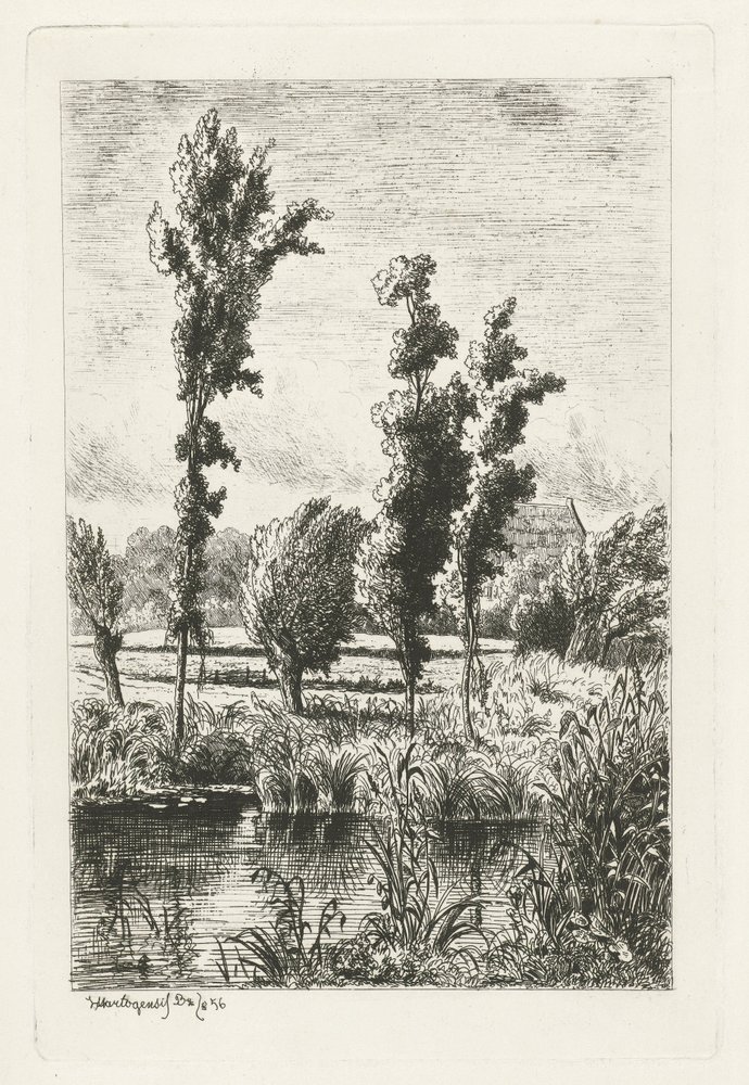 Trees by a Ditch by Joseph Hartogensis: Buy fine art print