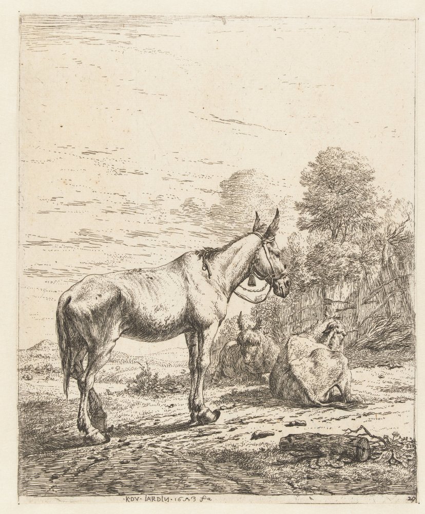 Mule with Bell on Halter and Two Lying Donkeys