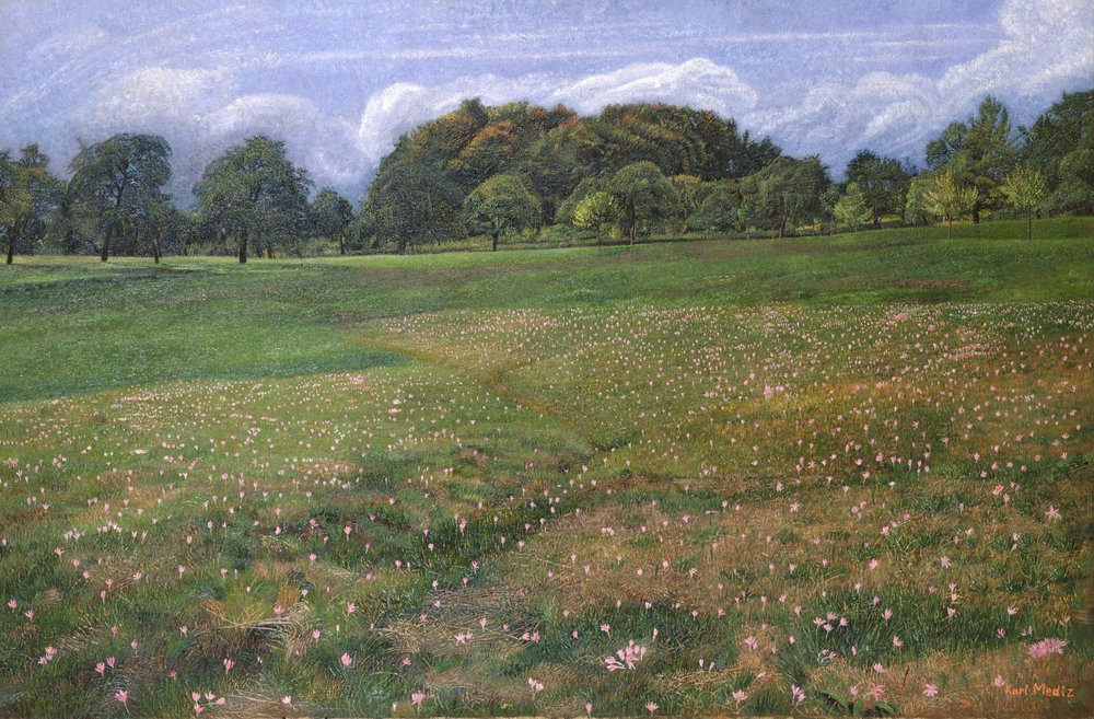 A Field of Autumn Crocus by Karl Mediz: Buy fine art print