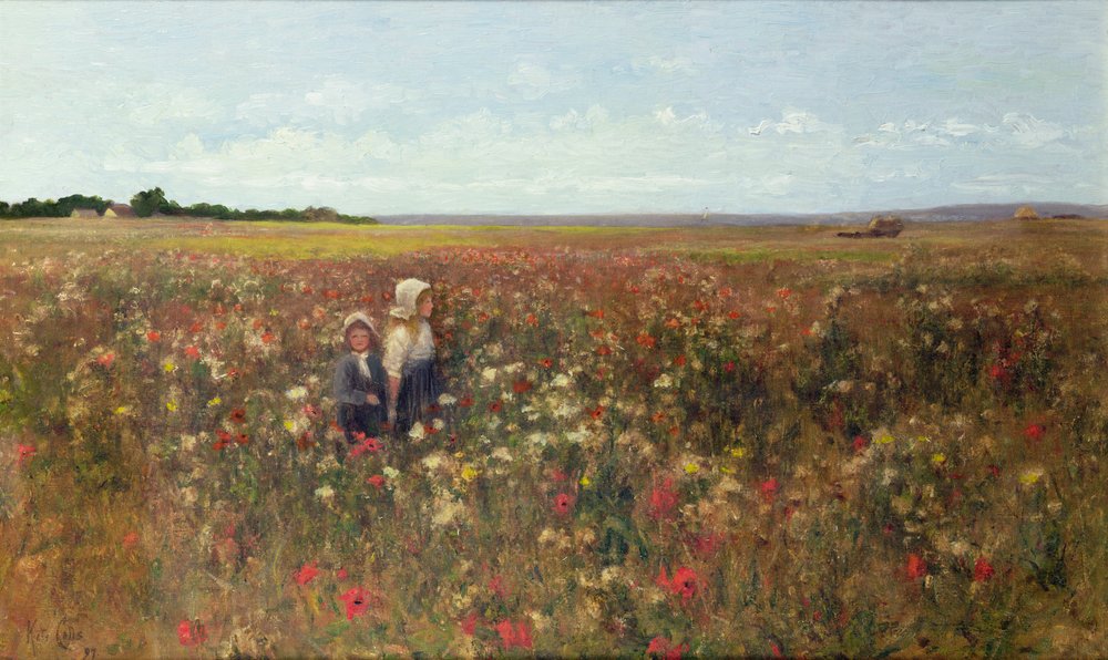 The Poppyfield, 1897 by Kate Colls: Buy fine art print