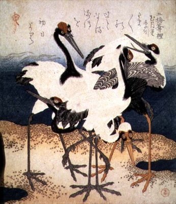 Five Cranes with White Feathers in Various Poses on a Spit of Sand ...