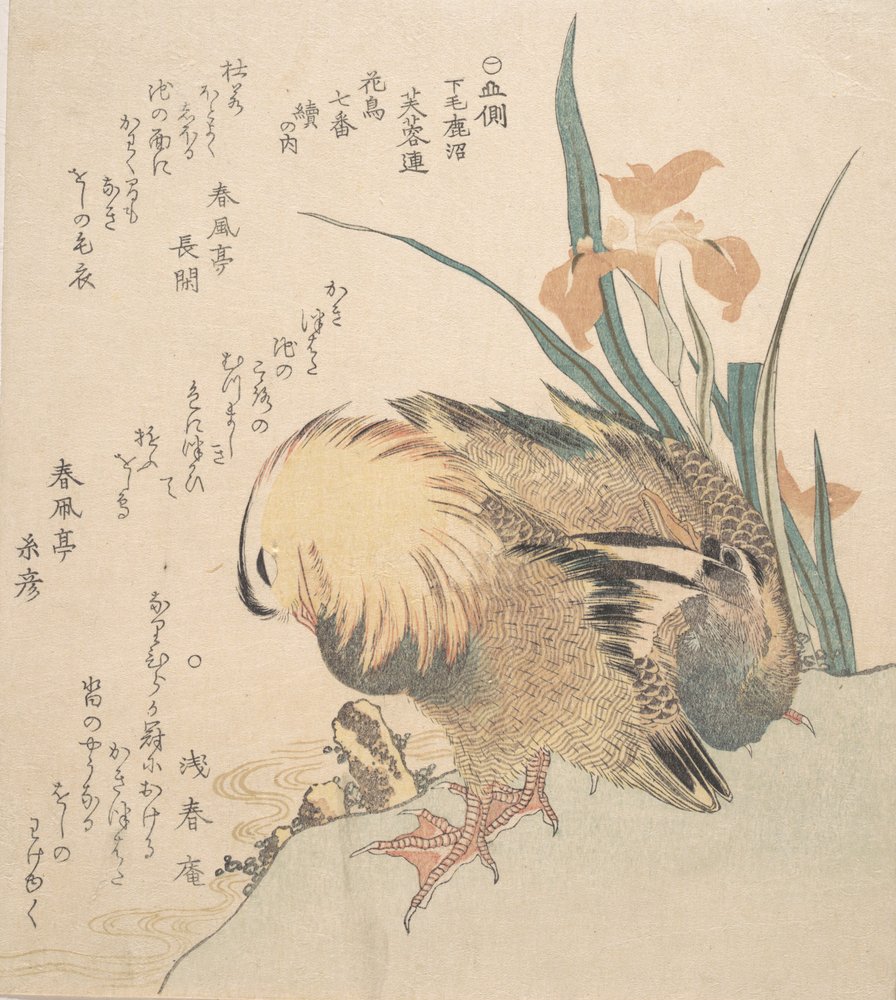 Pair of Mandarin Ducks and Iris Flowers by Kubo Shunman