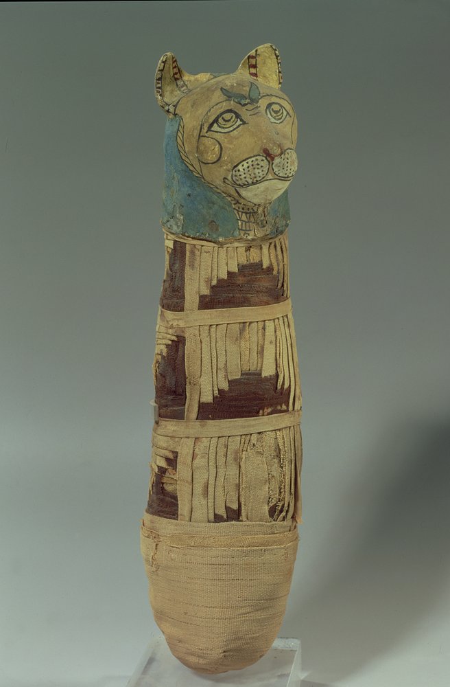 Mummified cat by Late Period Egyptian: Buy fine art print