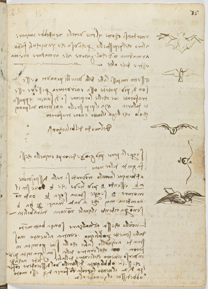 Birds Flight Code, Sheet 15 Recto by Leonardo da Vinci