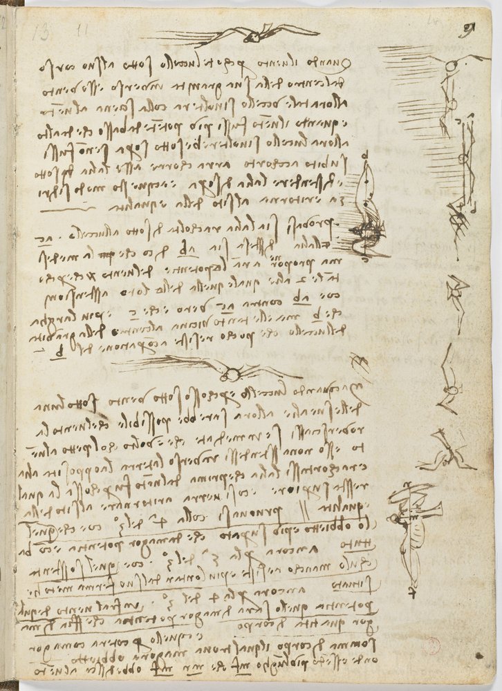 Birds Flight Code, Sheet 9 Recto by Leonardo da Vinci