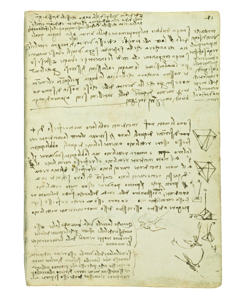 Codex on the Flight of Birds, Folio 11 Recto