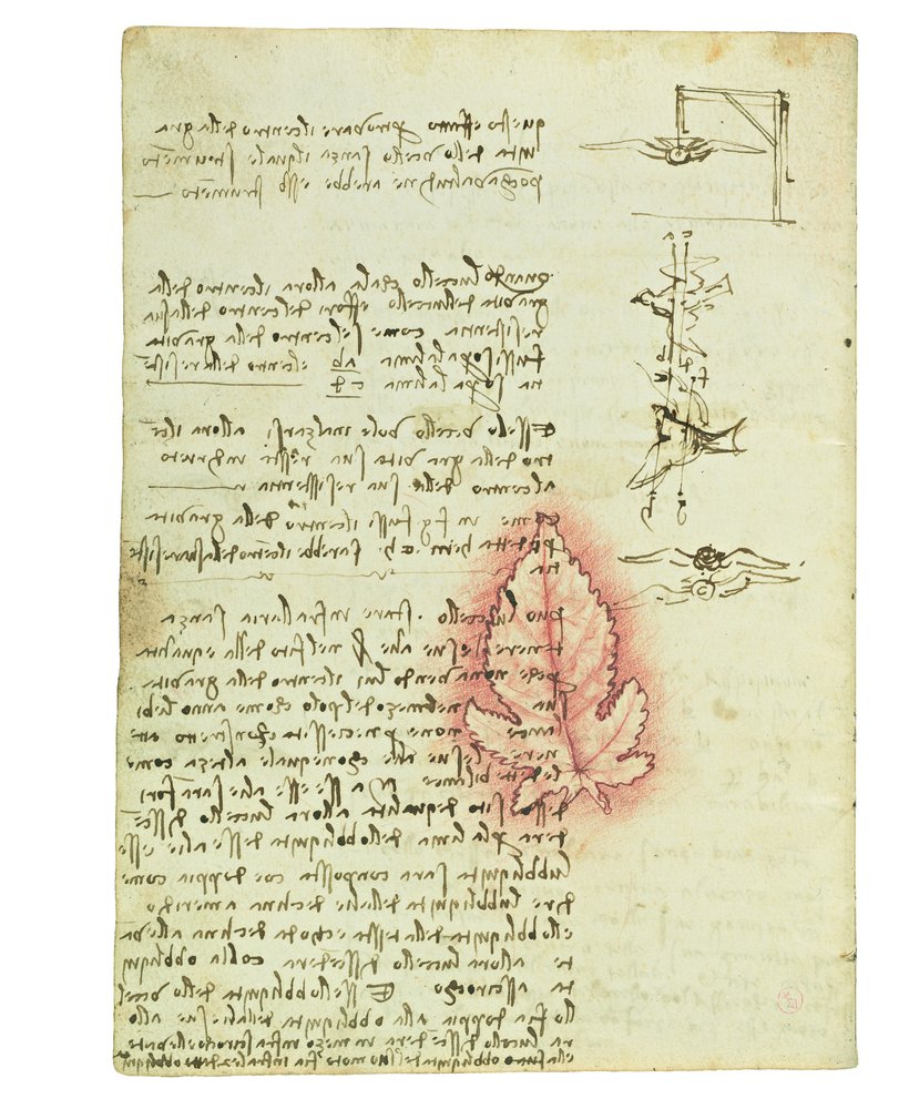 Codex on the Flight of Birds, Folio 15 Verso