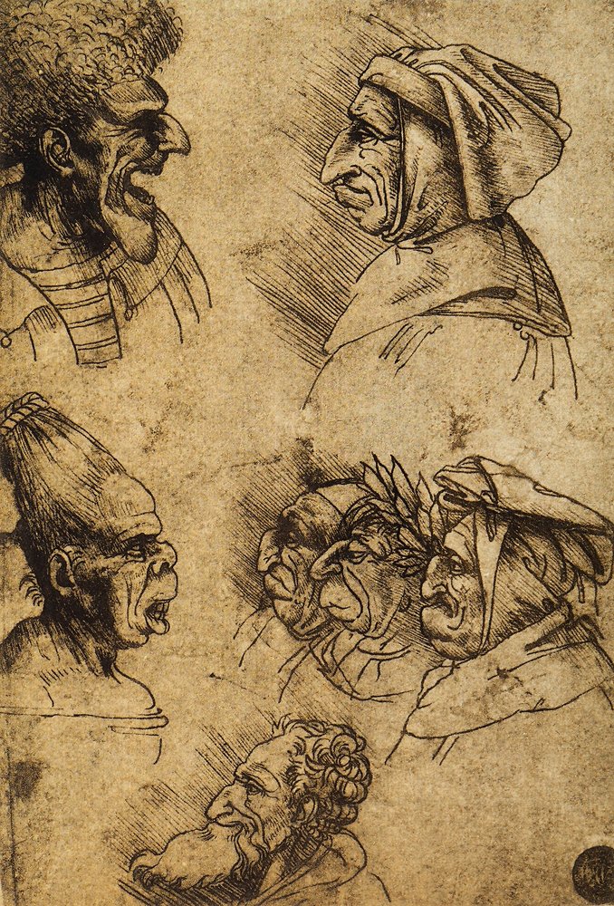 Seven Grotesque Heads by Leonardo da Vinci: Fine art print