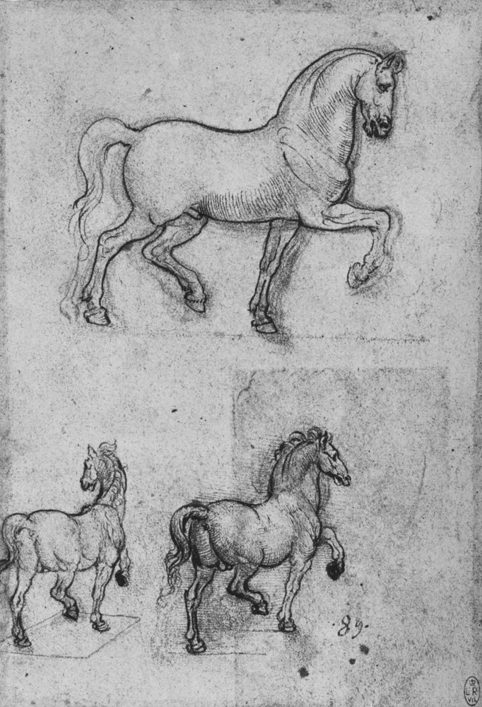 Three Studies of Horses, c1480 1945 by Leonardo da Vinci