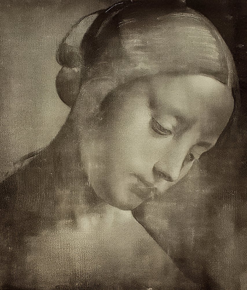 Female Head. Ca. 1470-1519 by Leonardo da Vinci